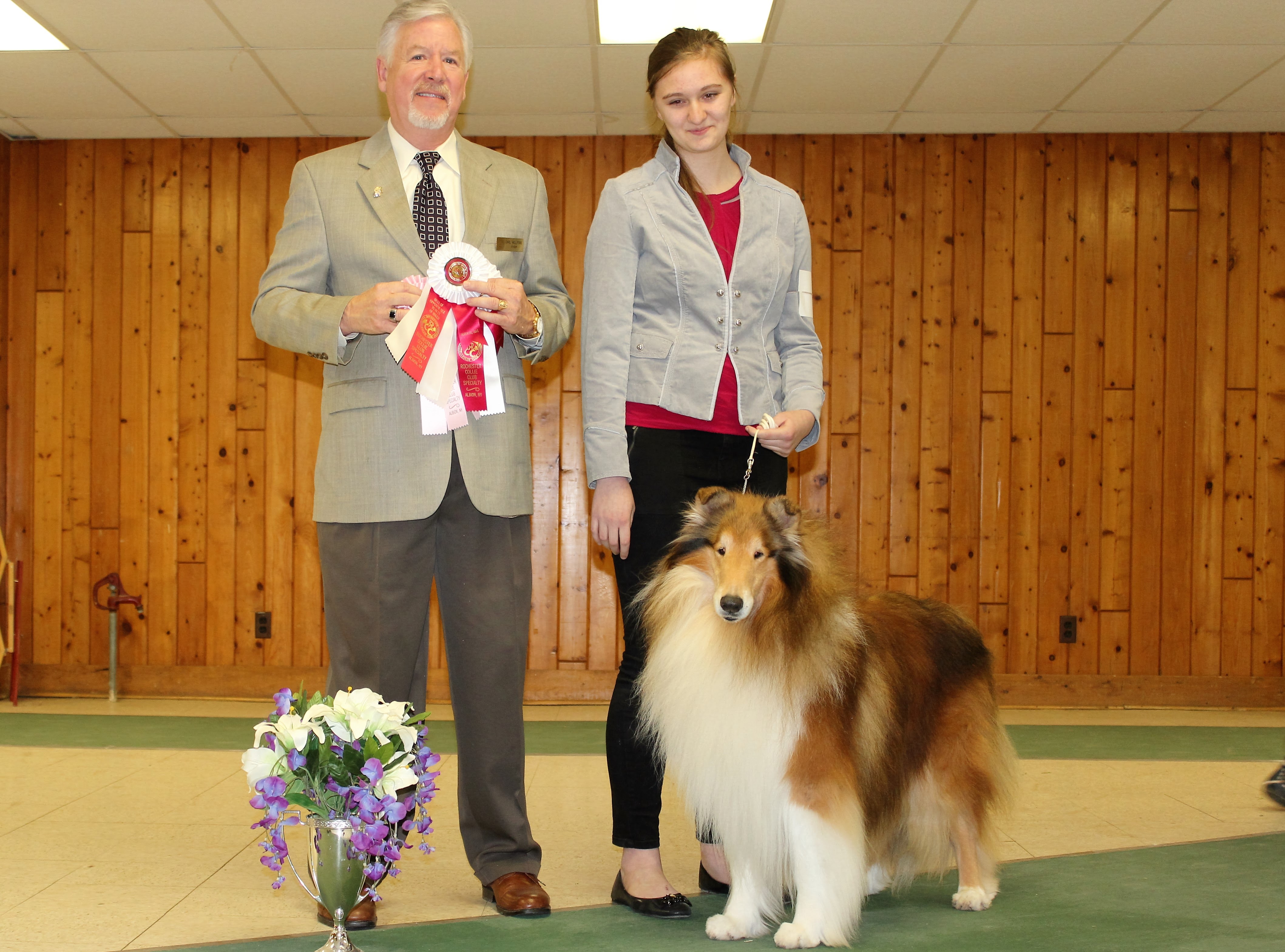 Robin – Ceilidh Collies